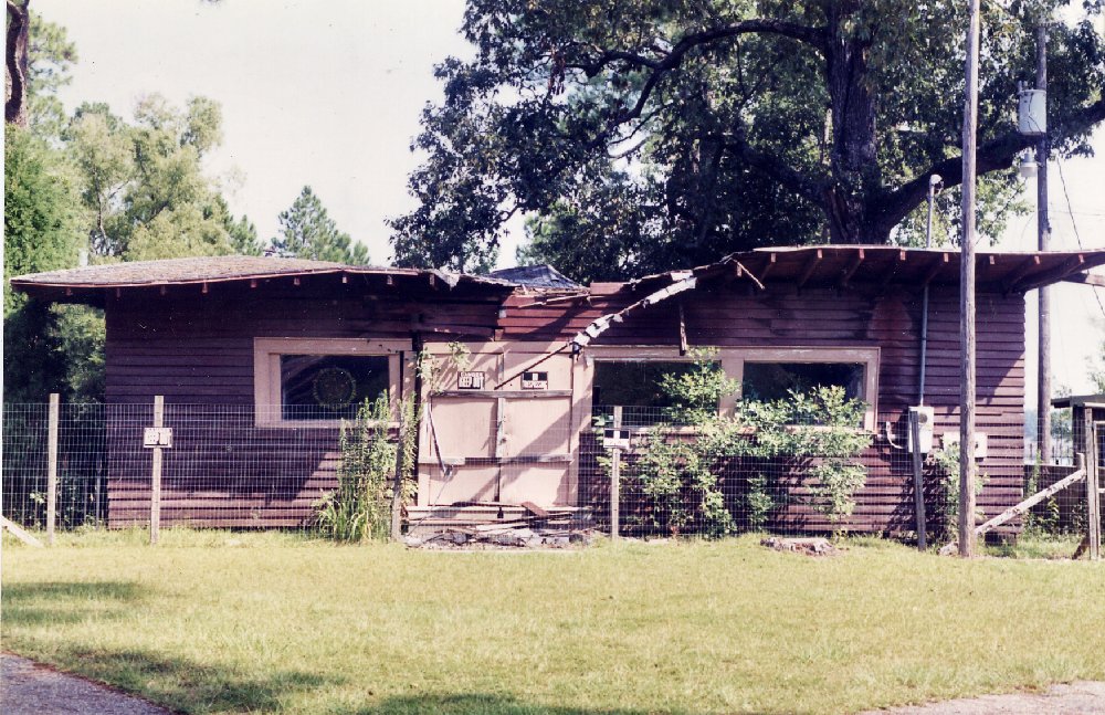 1950 - 1999 | Ocean Springs Archives